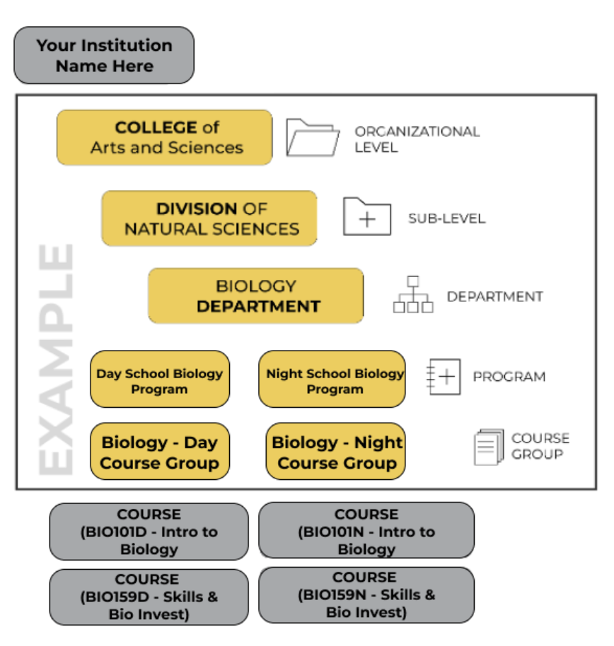 How do I setup my institution's organizational structure within Insights?