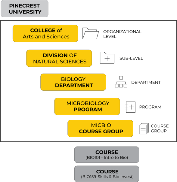 How do I setup my institution's organizational structure within Insights?